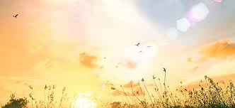 Github Silatanui Sila Web