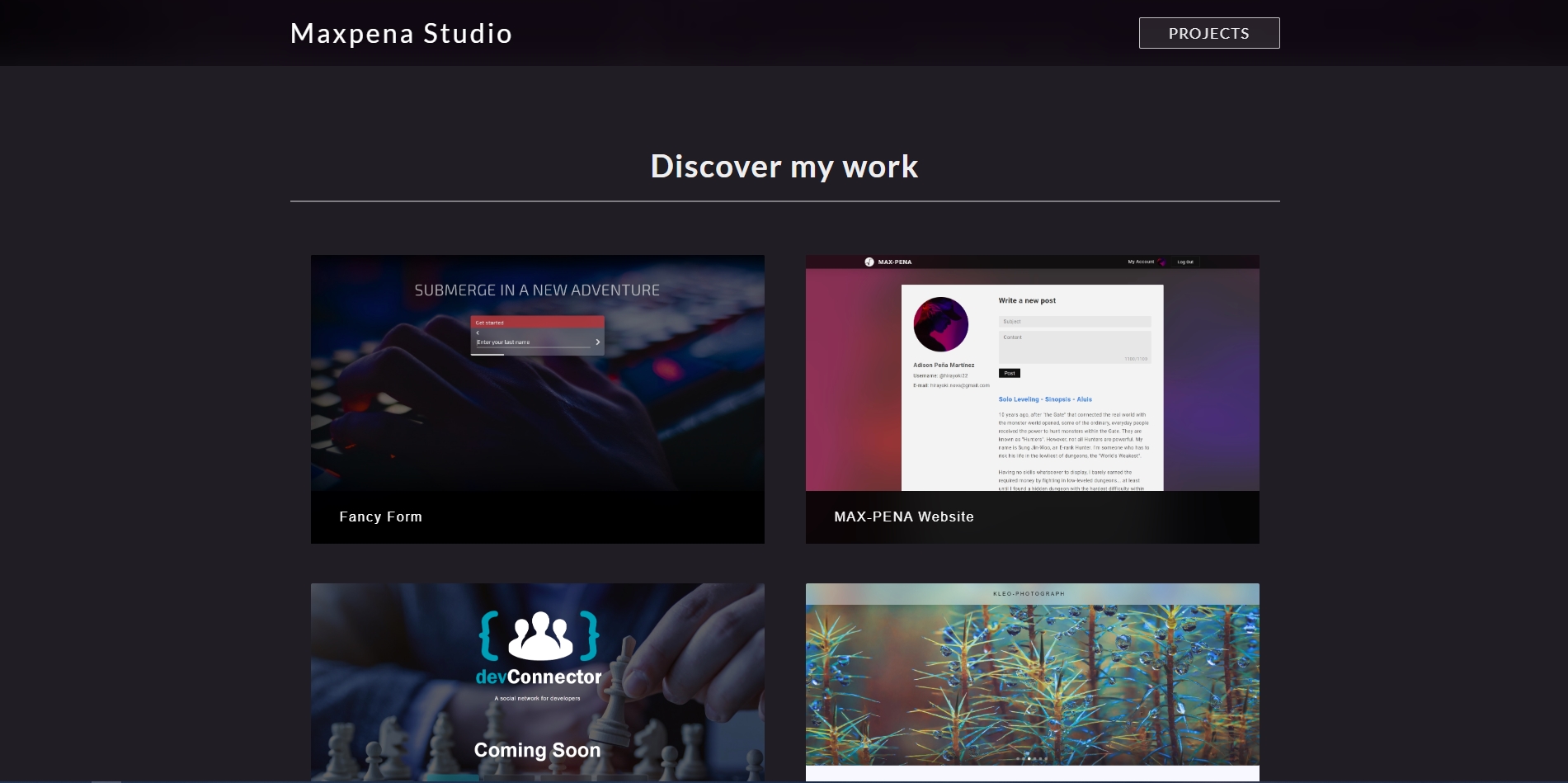 GitHub - slenderfigure/portfolio_template_1: A portfolio template that ...