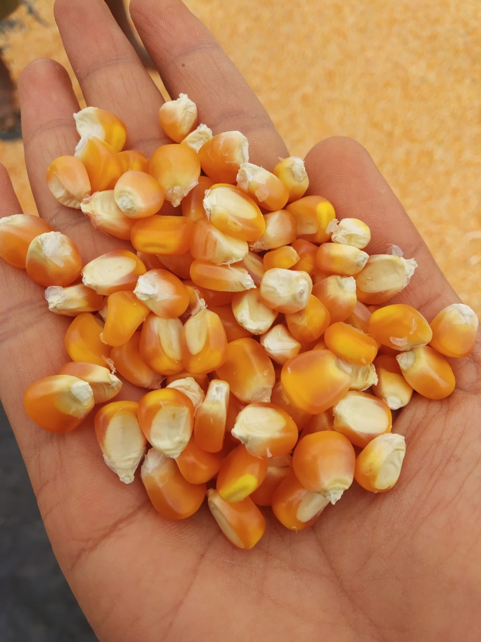 GitHub - nandp1/Line-Tester-Analysis: Analyzing Line Tester data