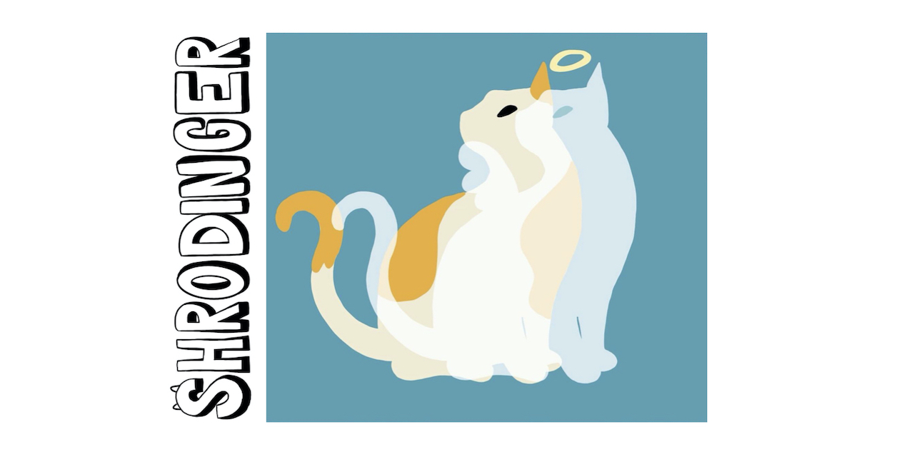 GitHub - crazycatladies/schrodinger: State Machine implementation for FTC robots