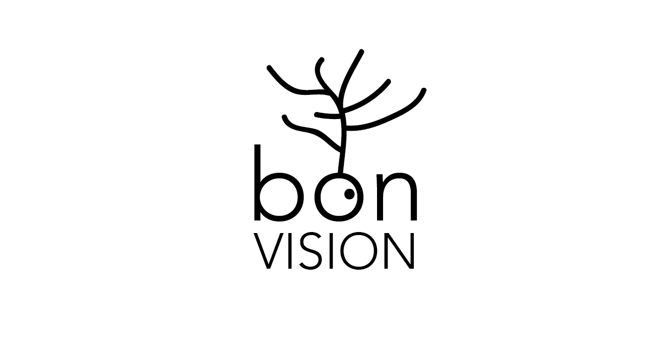 GitHub - bonvision/examples: Example workflows for the BonVision closed-loop visual environment ...