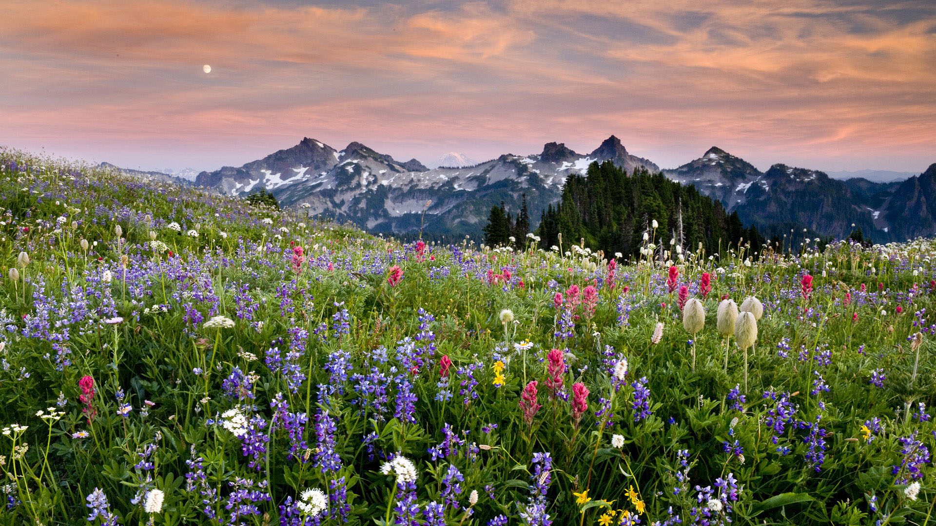 GitHub - HannahHuanLIU/huanliu.github.io: Huan LIU