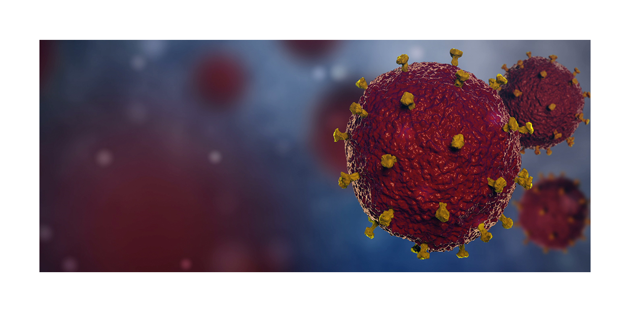 GitHub - pagotti/corona-bot