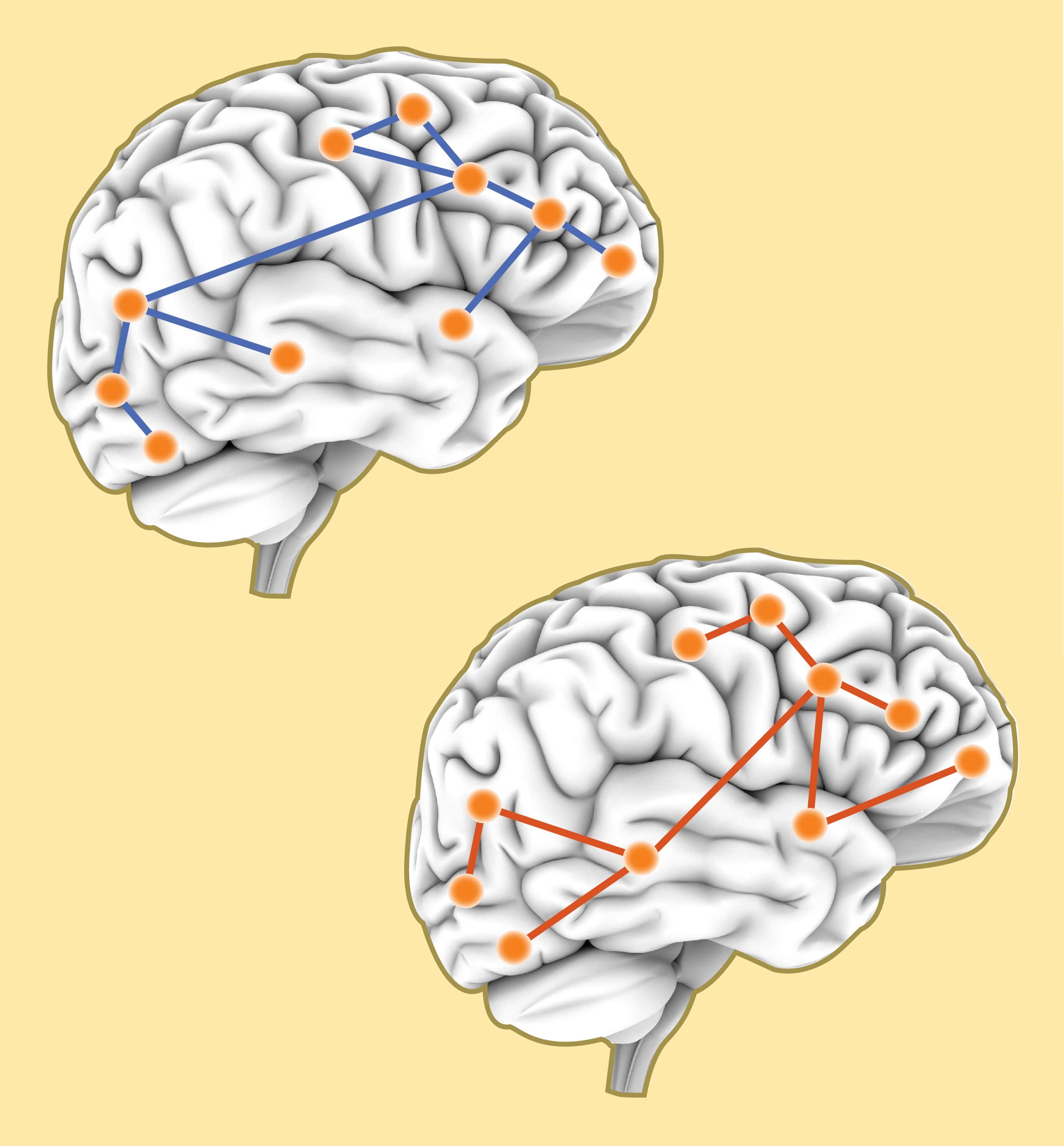 GitHub - bbantal/PAgB_network_instability: Tools for computing brain ...