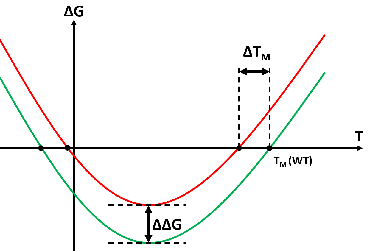 GitHub - cch1999/protein-stability: Final Year Project of Biochemistry ...