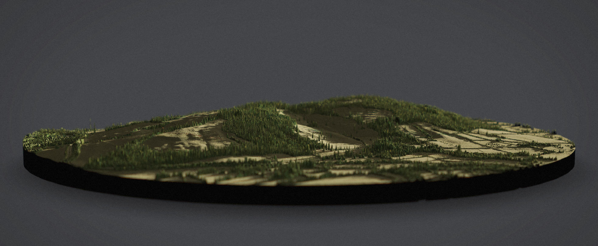 GitHub - nilomr/wytham-maps: Code to render maps of Wytham Woods from elevation maps