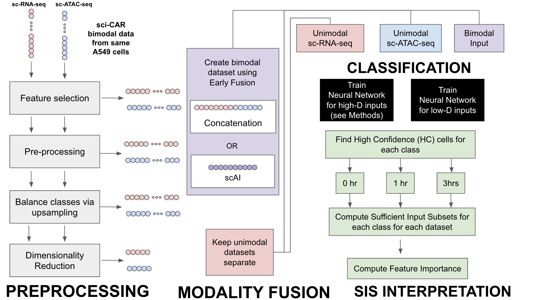 Github Taylormjs Cell Type Classifier