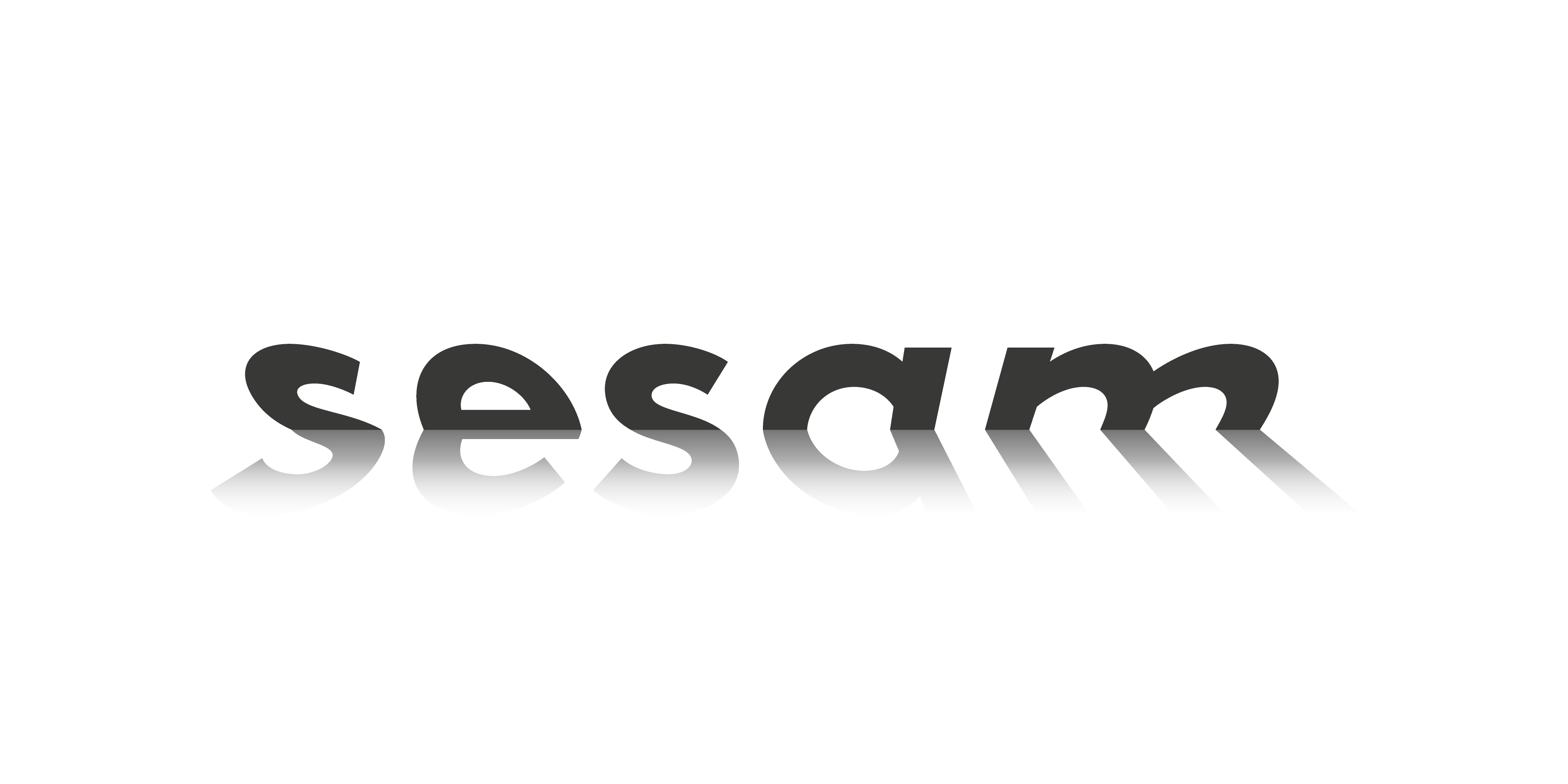 GitHub - lennertderyck/sesam: Use Sesam to create easy collapsing items on your site
