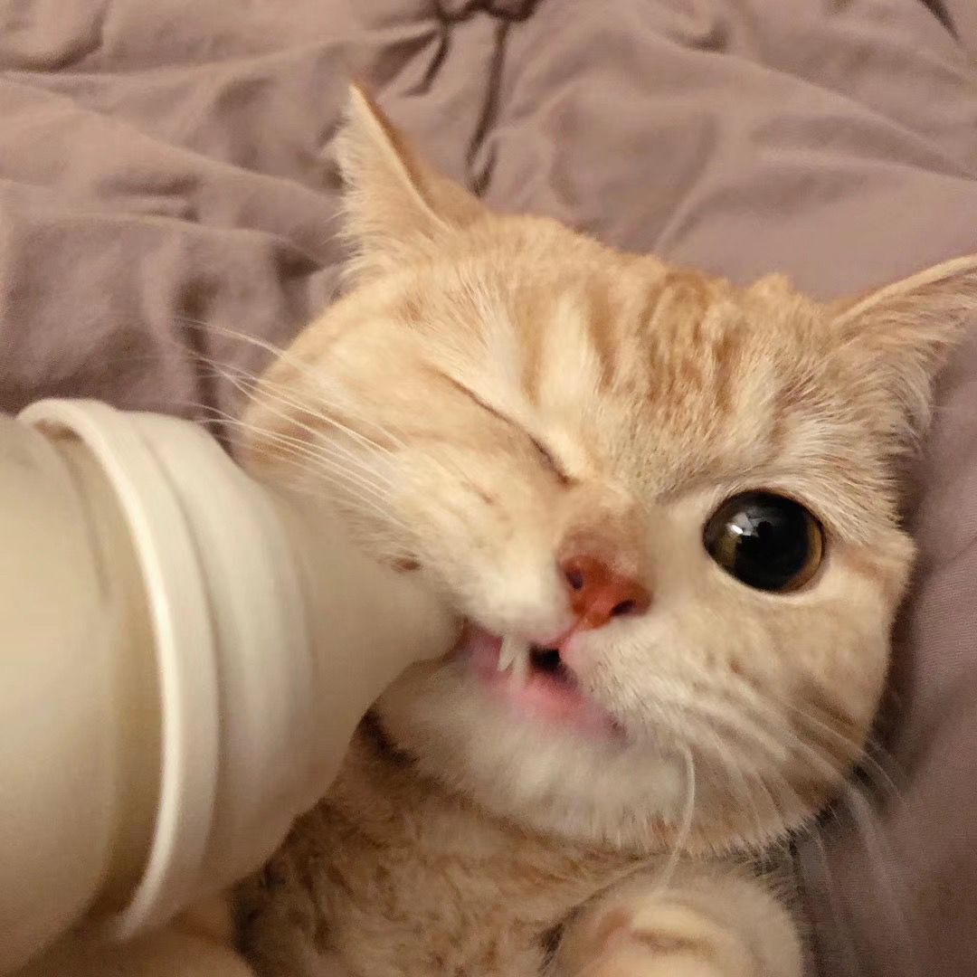 GitHub - andotorg/share-platform: Share Platform 国内首个即可以发布分布式、单体应用的插件化应用快速开发平台， 插件采用应用市场化， 统一登录验证信息