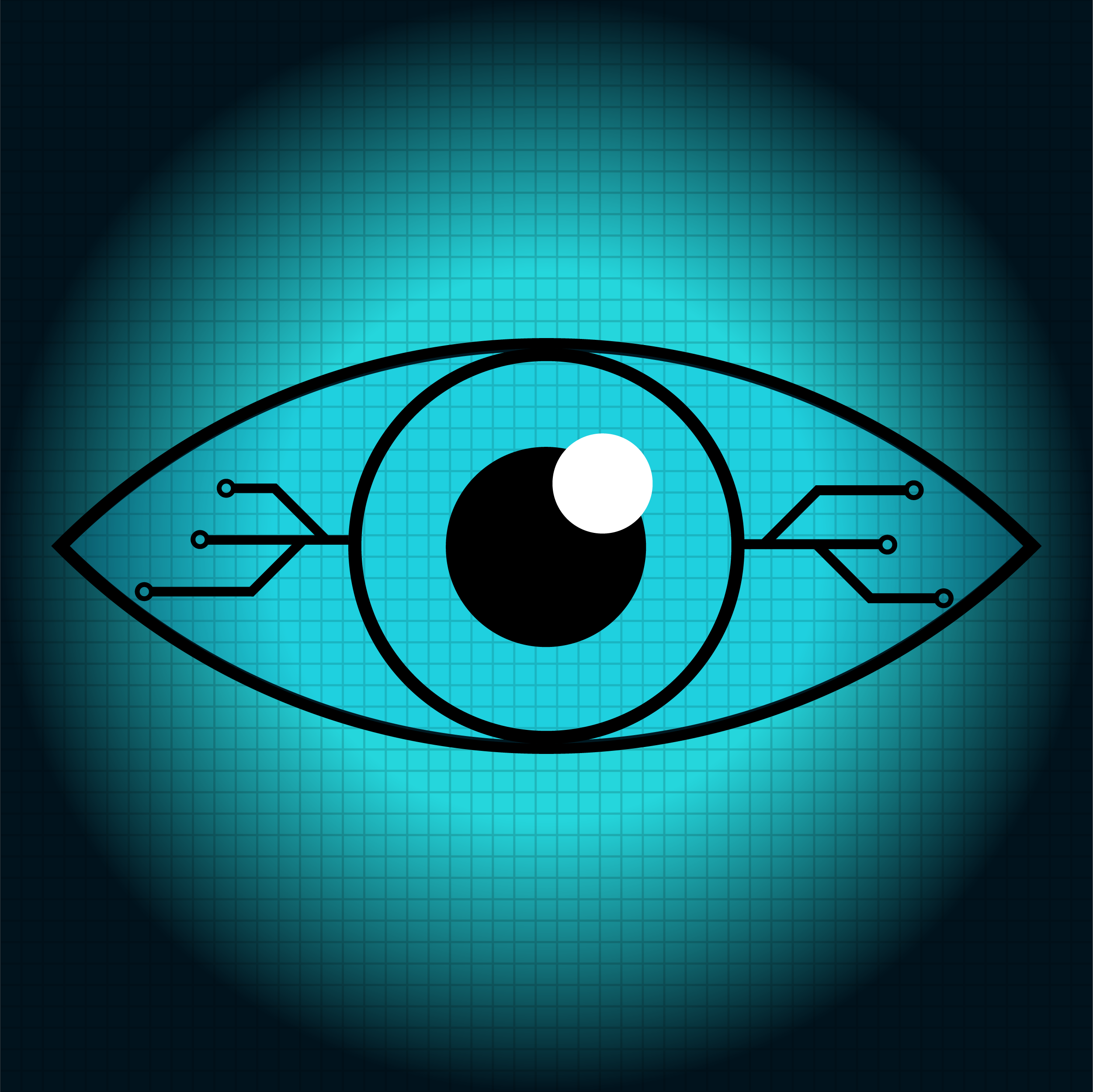 GitHub - berkgoksel/SierraOne: Shared reverse shell over Discord GitHub - berkgoksel/SierraOne: Shared reverse shell over Discord