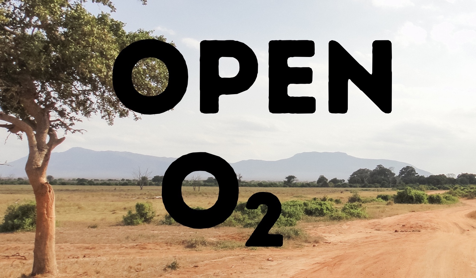 GitHub - EnAccess/OpenO2: OpenO2, an Open Source Oxygen Concentrator ...