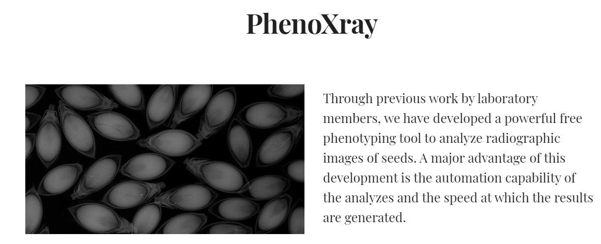 Github Admedeiros Imagej Macros Some Macros Created For Specific Analyzes