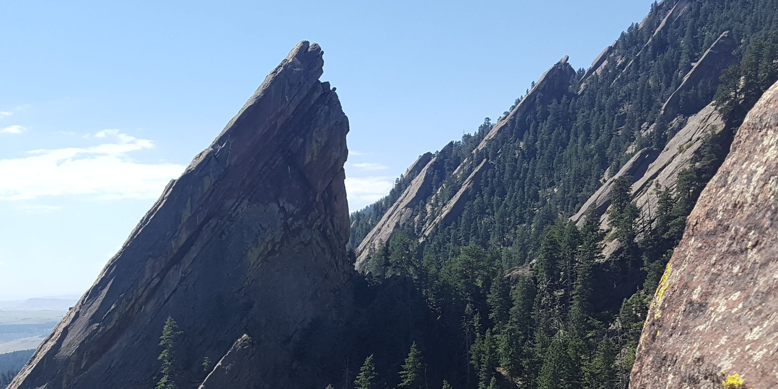 GitHub - RileyKenyon/RileyKenyon.github.io: Personal Website: https://rileykenyon.github.io