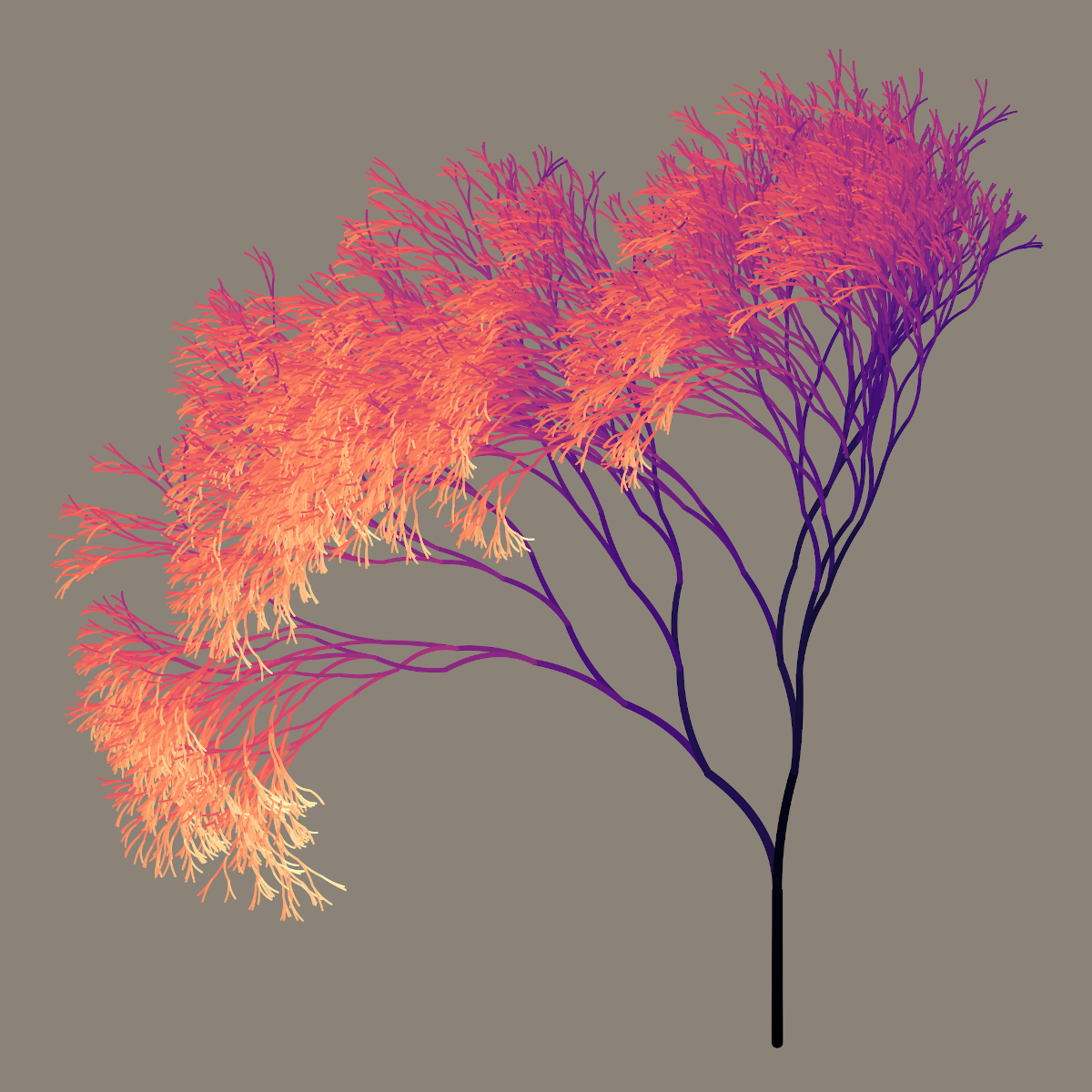 GitHub - djnavarro/flametree: Generative artwork that looks a bit like ...