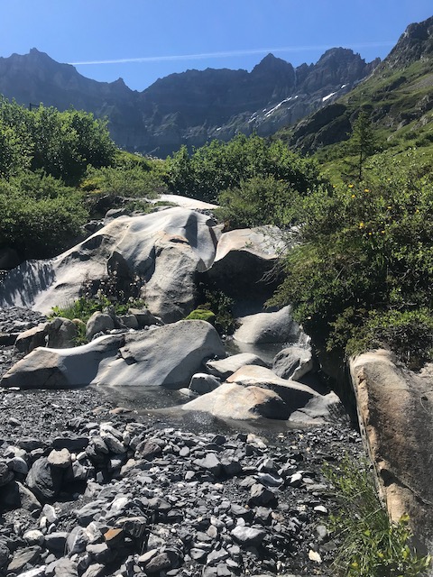 age-mention · GitHub Topics · GitHub