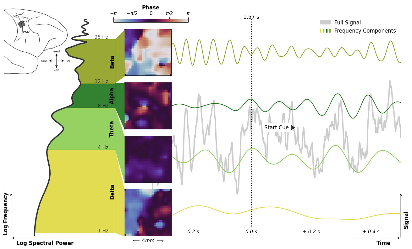 GitHub - rgutzen/visualizing_cortical_waves: visualizing electrical ...