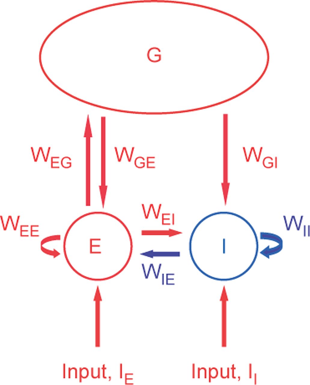 GitHub - jiaxx/gamma_model: matlab code for recurrent model to simulate ...