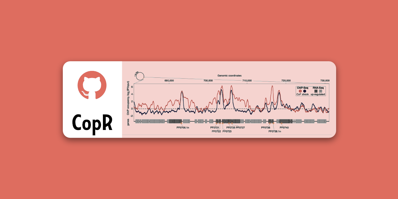GitHub - felixgrunberger/CopR: This is the repository for the ...