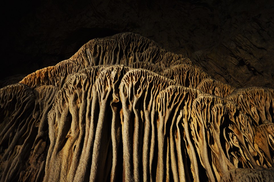 GitHub - deepchatterjeeligo/deepchatterjeeligo.github.io: A static portfolio project using jekyll