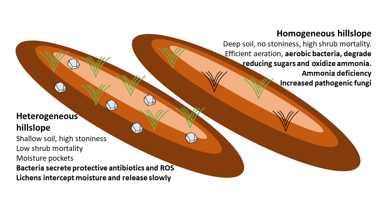 GitHub - DSASC/Szitenberg2021_geodiversity: Small scale geodiversity ...