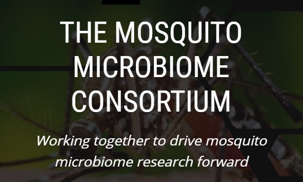 GitHub - nsadada/Mosquito-microbiome-perspective: Considerations for ...