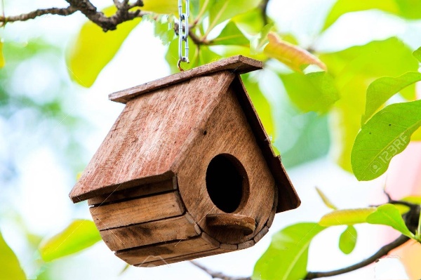 GitHub - devonzuegel/digital-nesting: Devon's collection of custom CSS