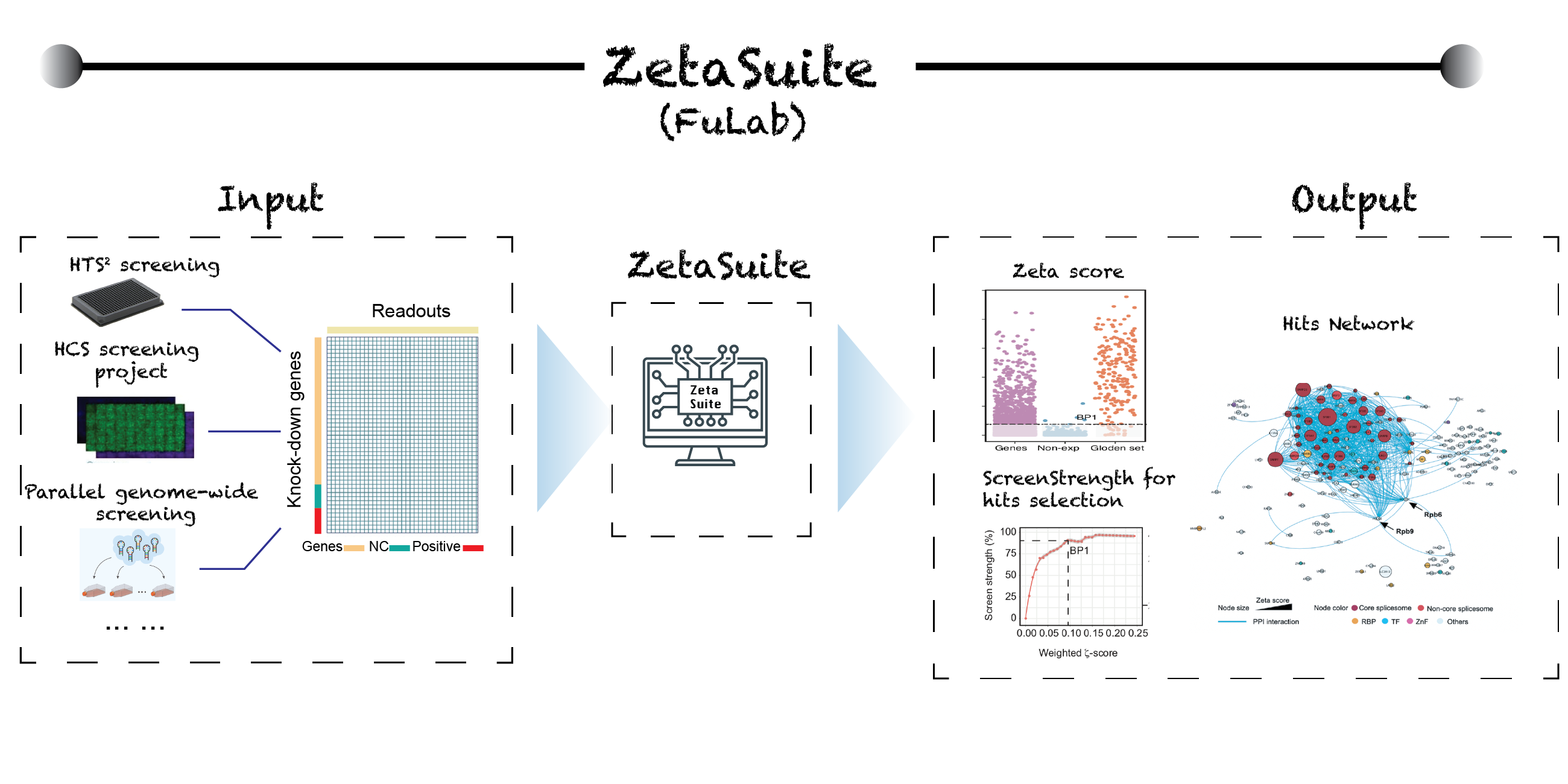 GitHub - YajingHao/ZetaSuite: Zeta score method to analysis multiple ...