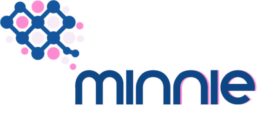 GitHub - denizdgn/minnie: A structural ensemble analysis package to deduce the molecular ...