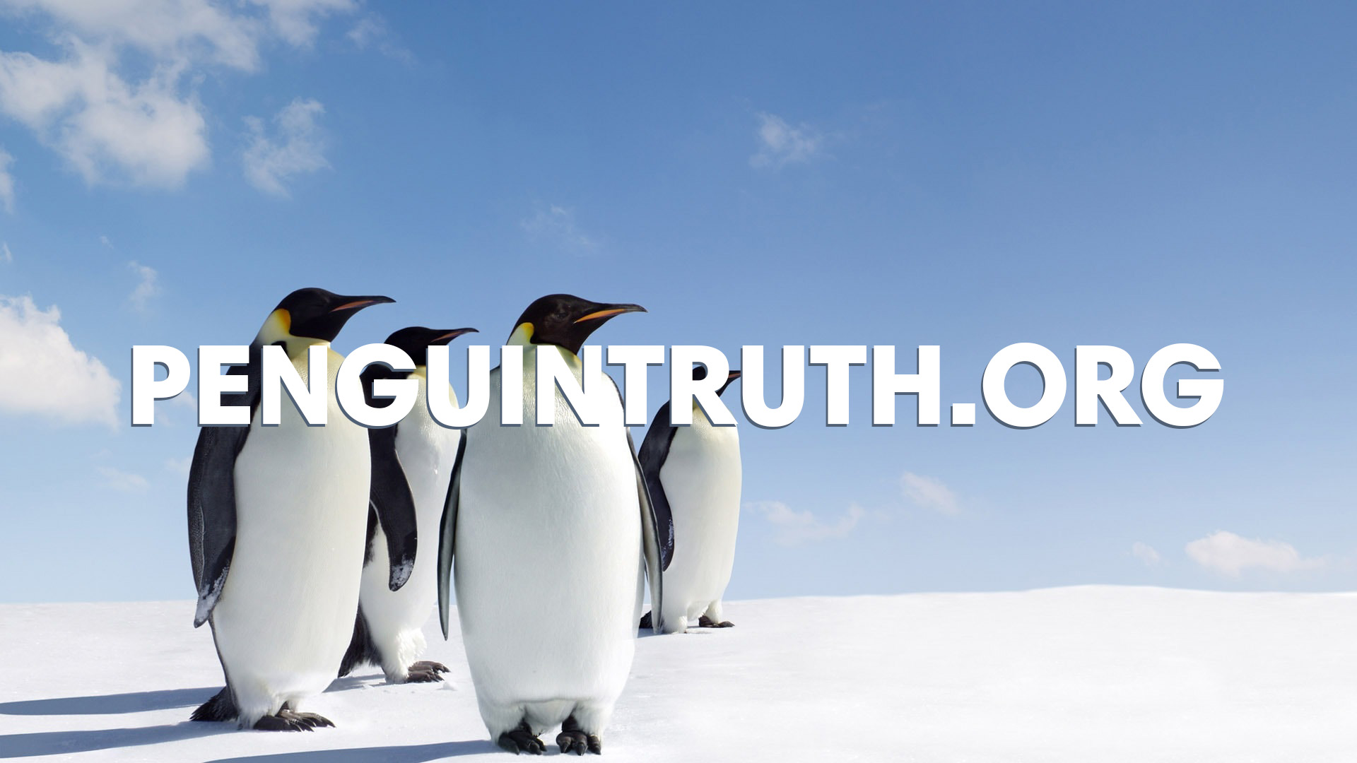 penguins · GitHub Topics · GitHub