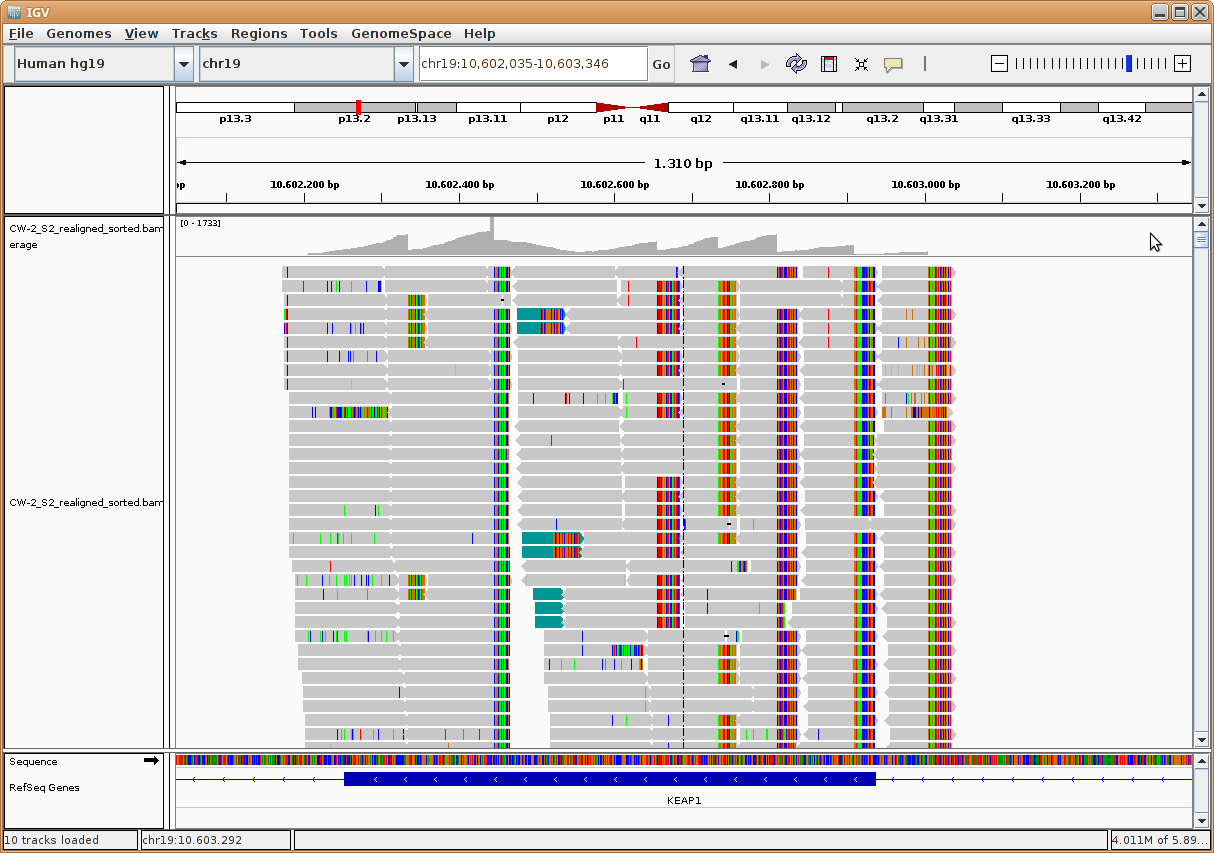 GitHub - janrehker/PESC: PESC