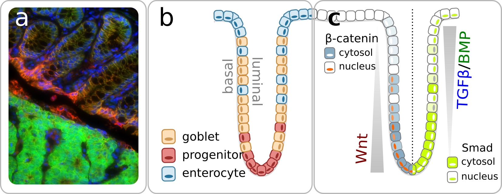 GitHub - adam-coster/dissertation