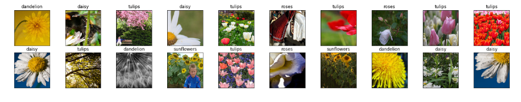 GitHub - MerhanElSaid/Flower_Classification: Transfer_Learning