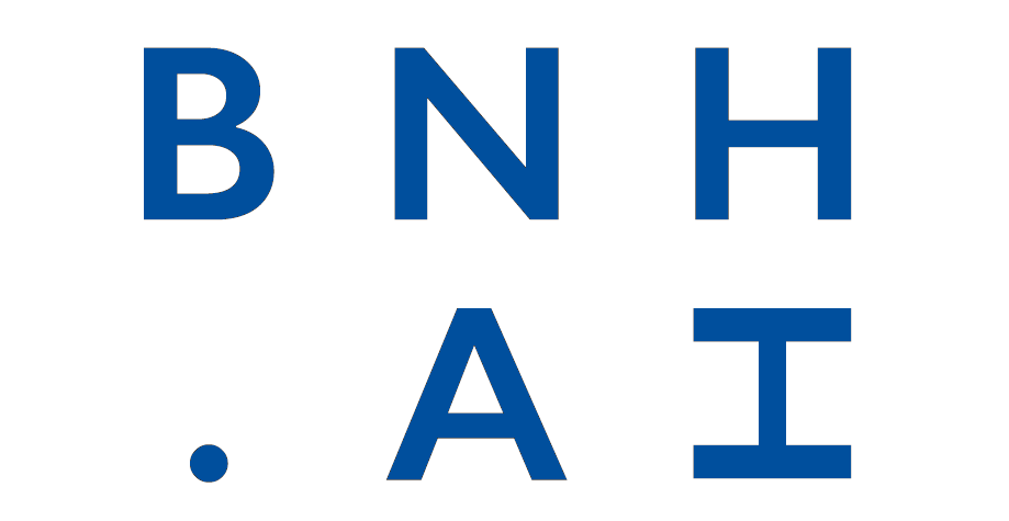 GitHub - bnh-ai/resources