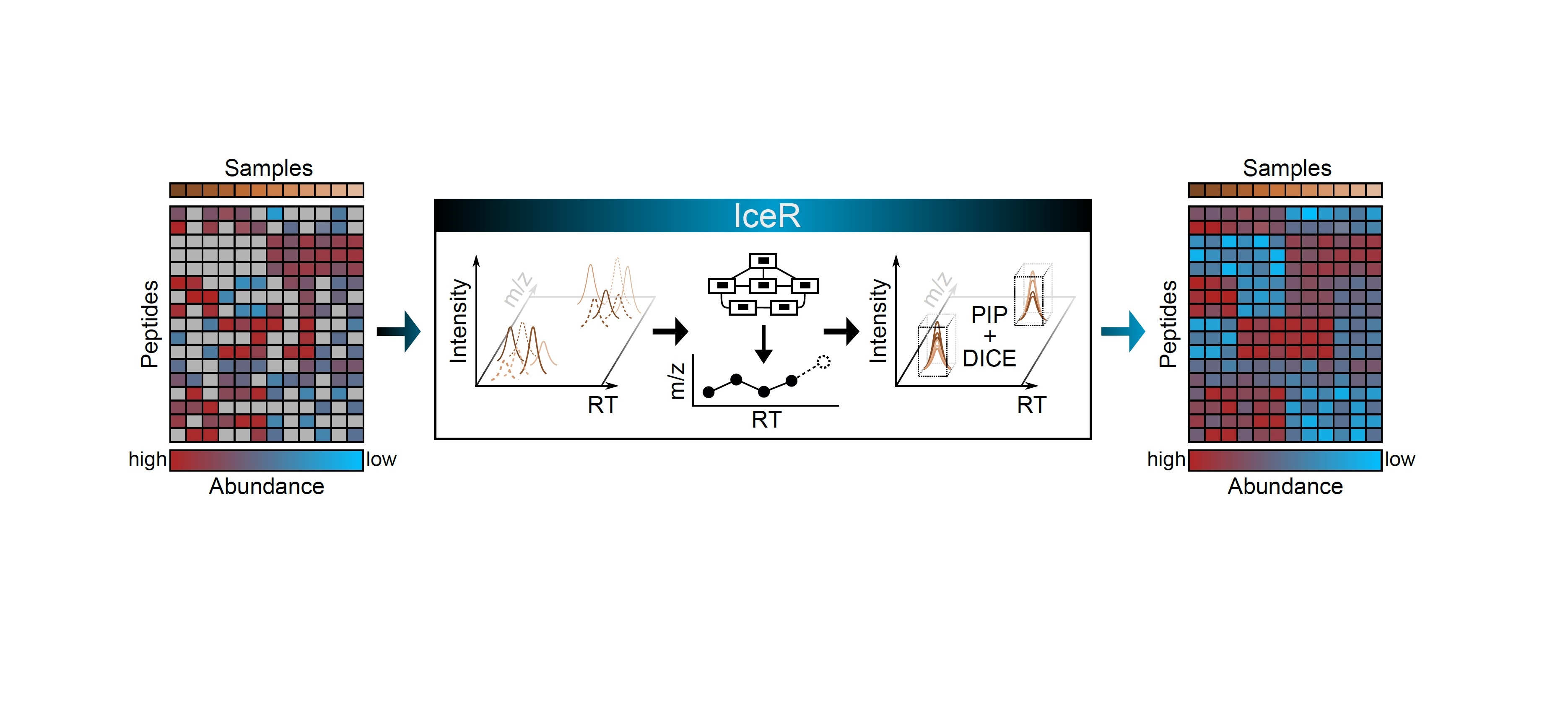 GitHub - mathiaskalxdorf/IceR: Quantitative proteomics workflow