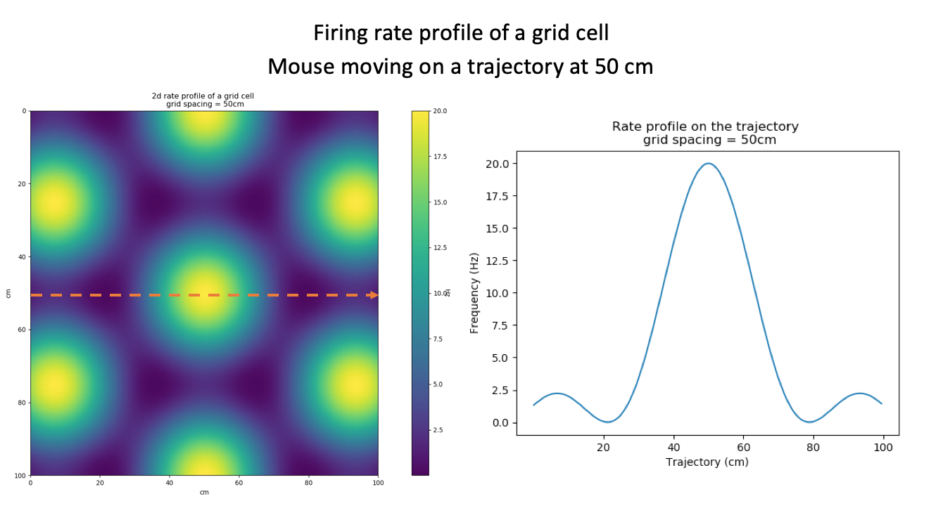 Github Barisckuru Grid Cell