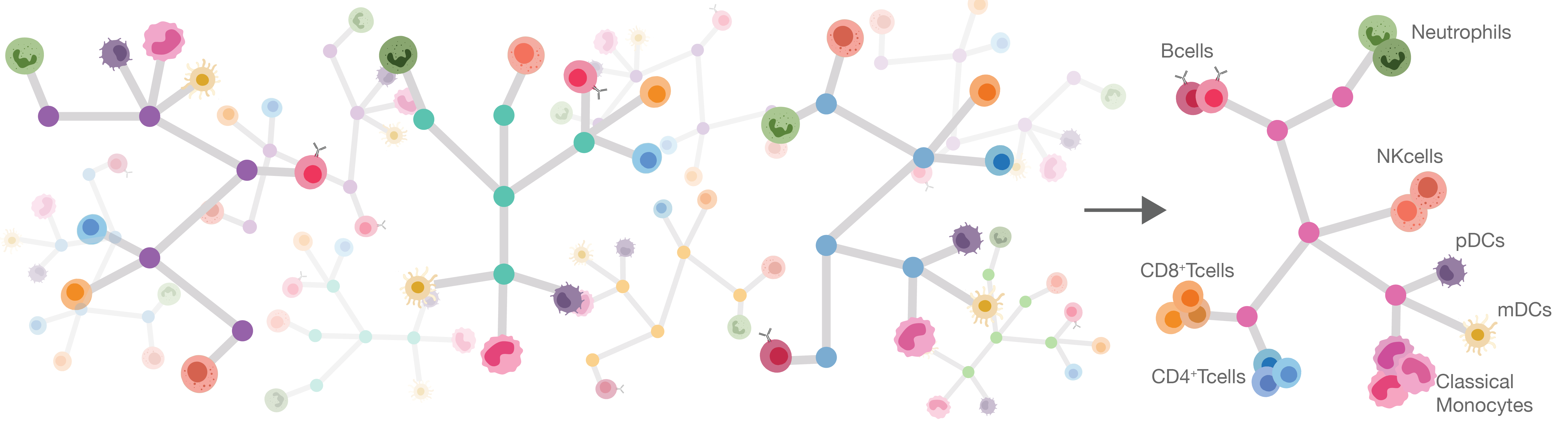 GitHub - stanleyn/VoPo: Scalable, downsampling-free automated cell-population discovery, feature ...