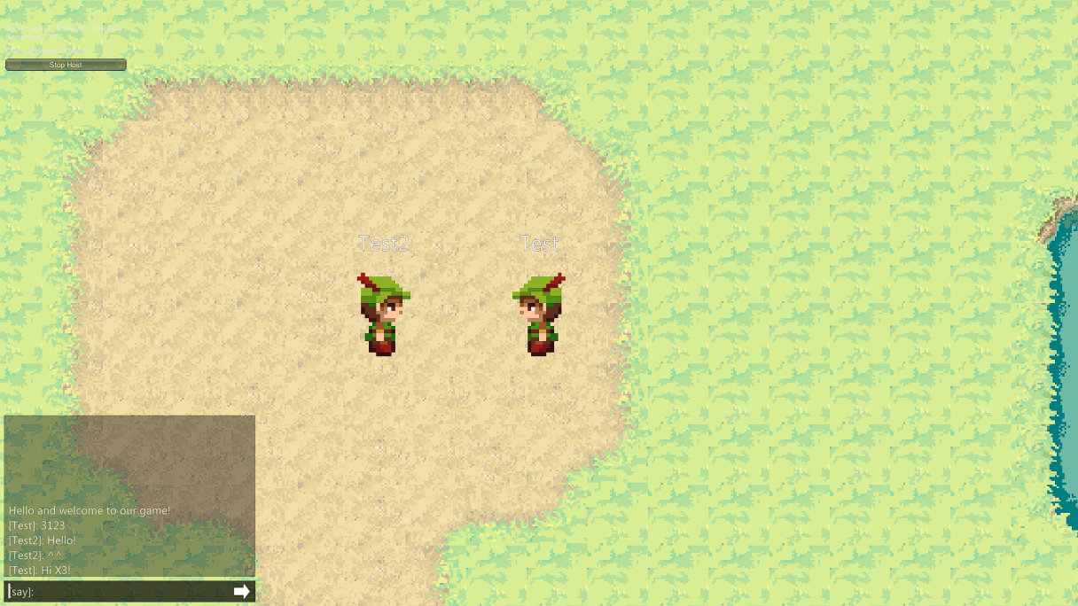 GitHub - Vixenin/Demo-Online-RPG: A demo of my current work in progress ...