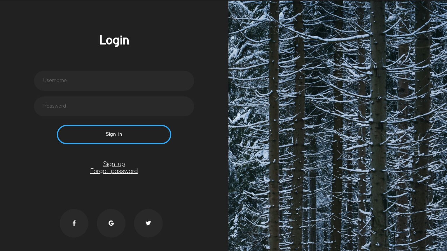 GitHub - GabrielDSRodrigues/Login-Form: Dark login form, lateral and ...