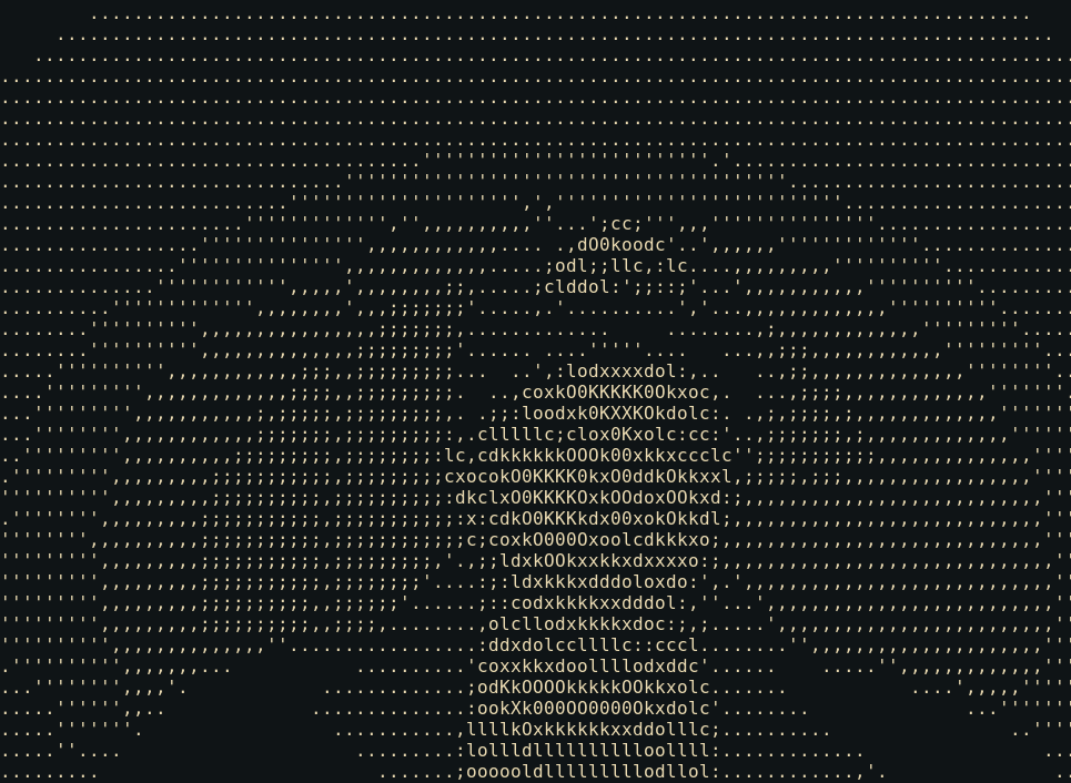 GitHub - nickfarrow/asciiwebcam