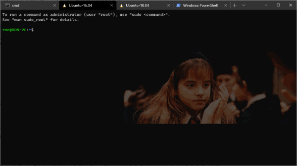 GitHub - Ron2014/SSWP4WT: Slideshow wallpaper for Windows Terminal ...
