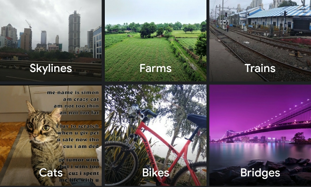 GitHub - devbhartra/landscape-classification-pytorch: Classify 6 ...