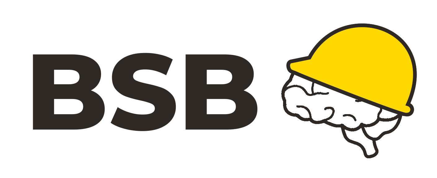 GitHub - dbbs-lab/bsb: The Brain Scaffold Builder