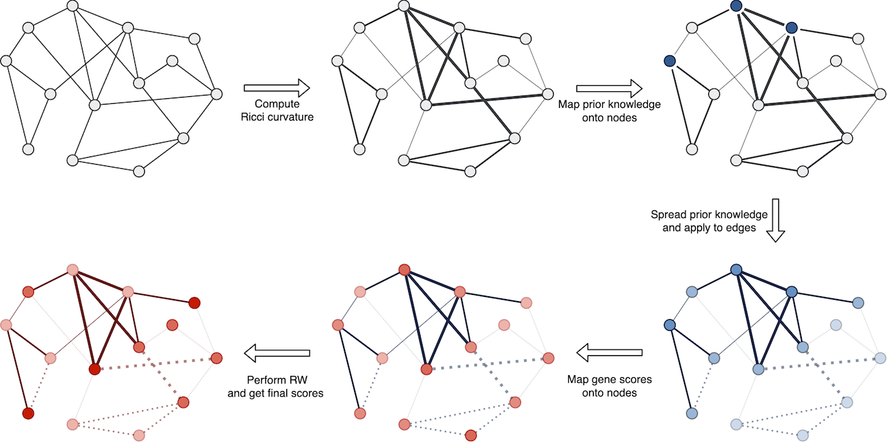 disease-target-identification · GitHub Topics · GitHub