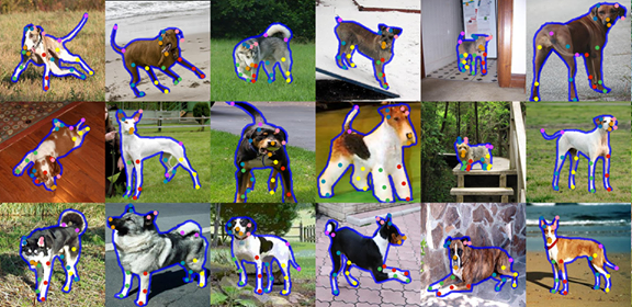 GitHub - benjiebob/StanfordExtra: 12k labelled instances of dogs in-the ...