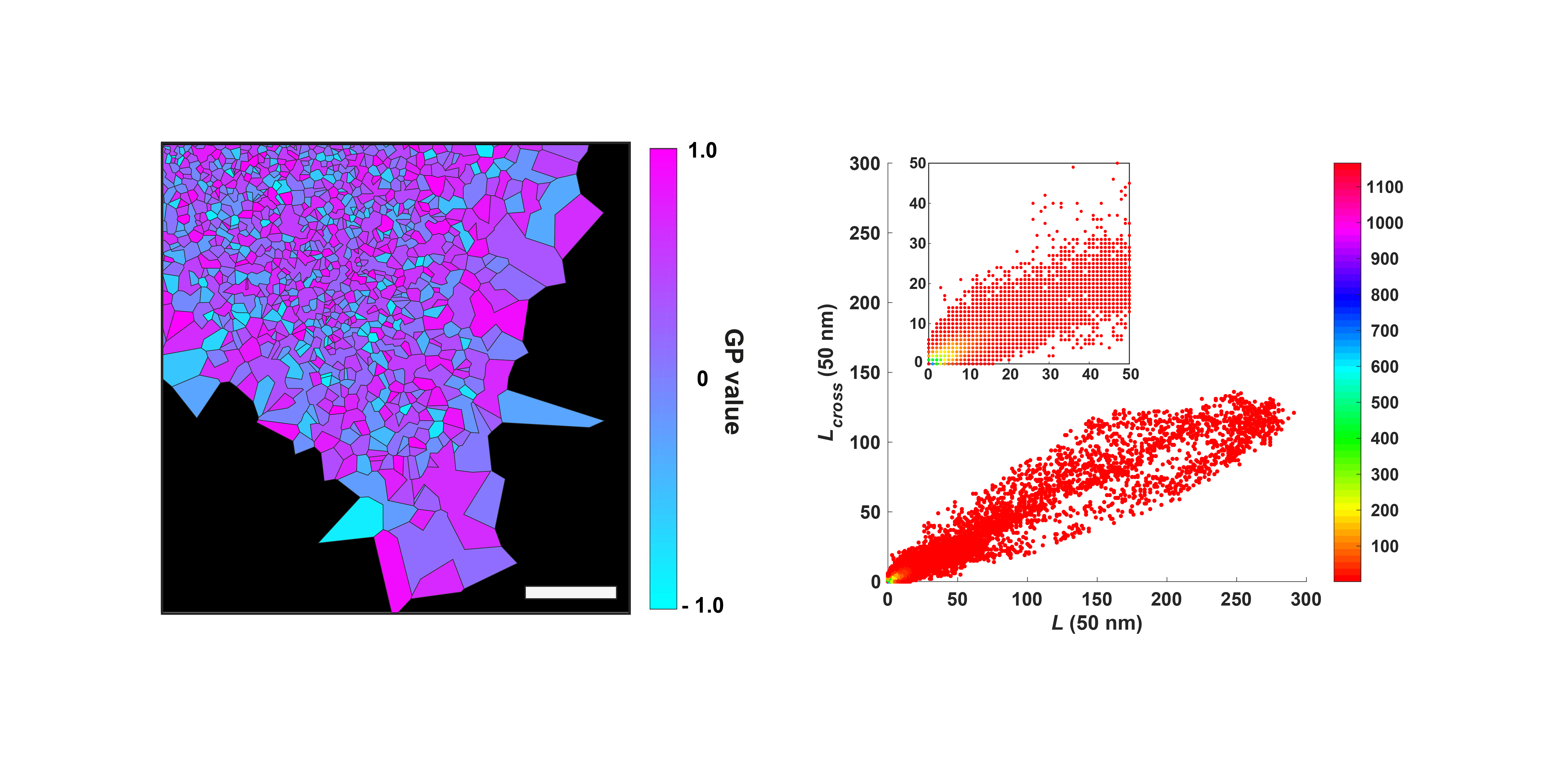 GitHub - DJ-Nieves/di4ANNEPDHQ-PAINT: Analysis codes written in Matlab ...