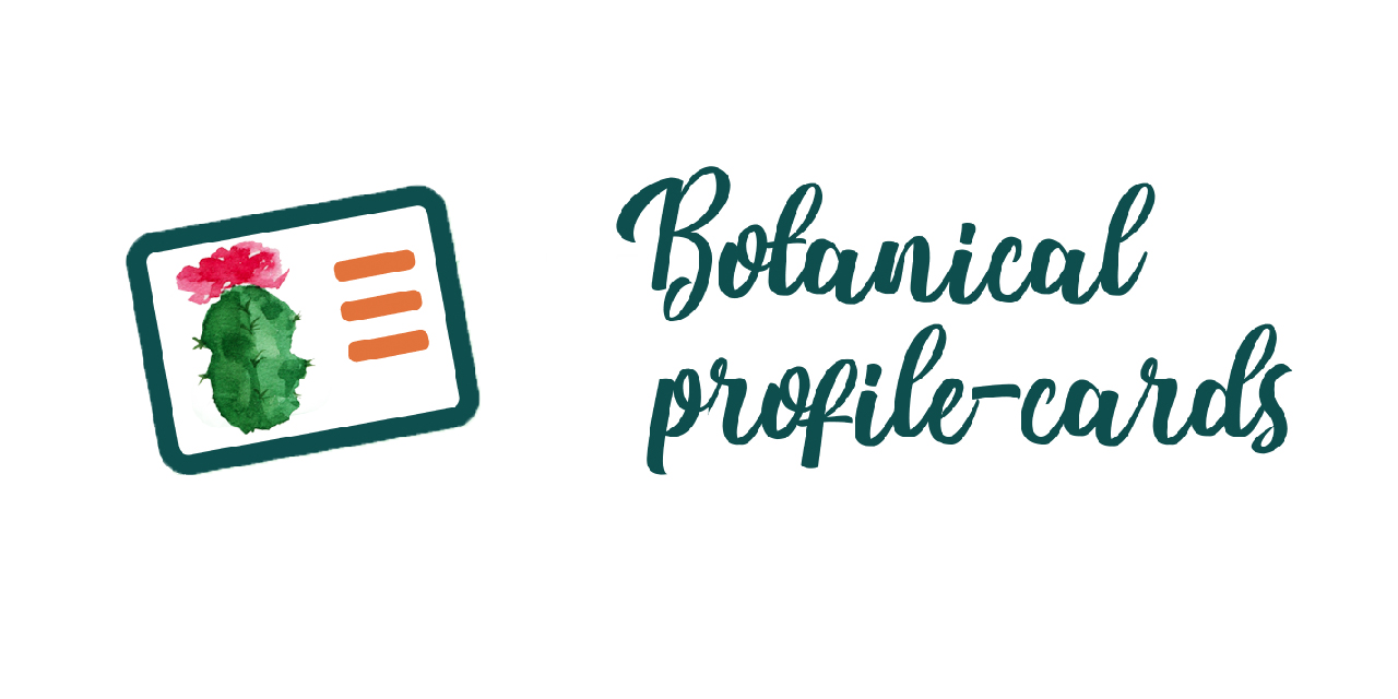GitHub - Sonia-SV/Botanical-profile-cards: 👯‍♀️ Group practice Adalab // JS + HTML + CSS/SASS