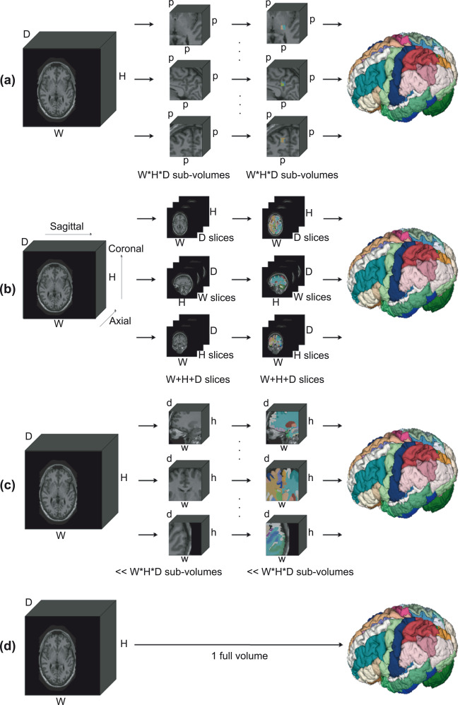 GitHub - microsoft/VoxHRNet: Whole Brain Segmentation with Full Volume Neural Network, CMIG