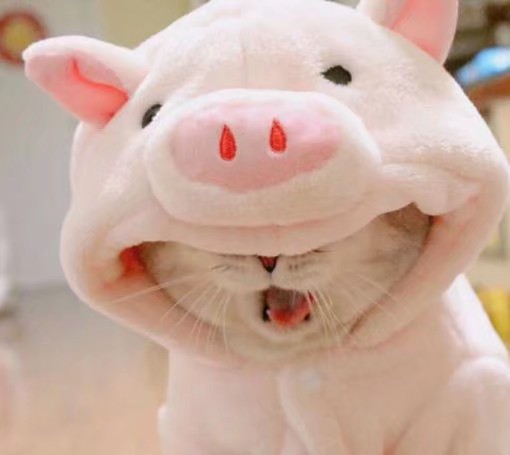 Github Dingenjie Blog Dd