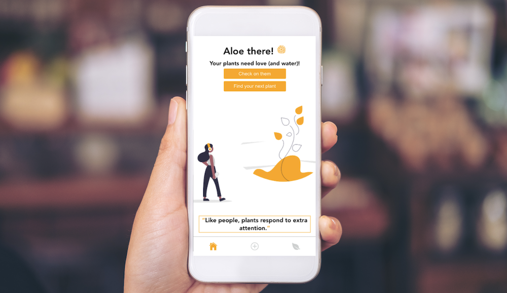 GitHub - amantoniazzi/Aloethere: Aloe There! a PWA plant care app for expert plant lovers and ...
