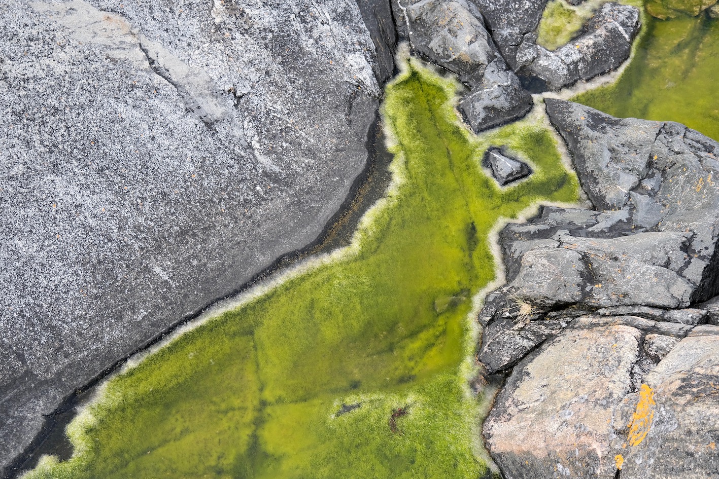 GitHub - feifei/feifei.github.io